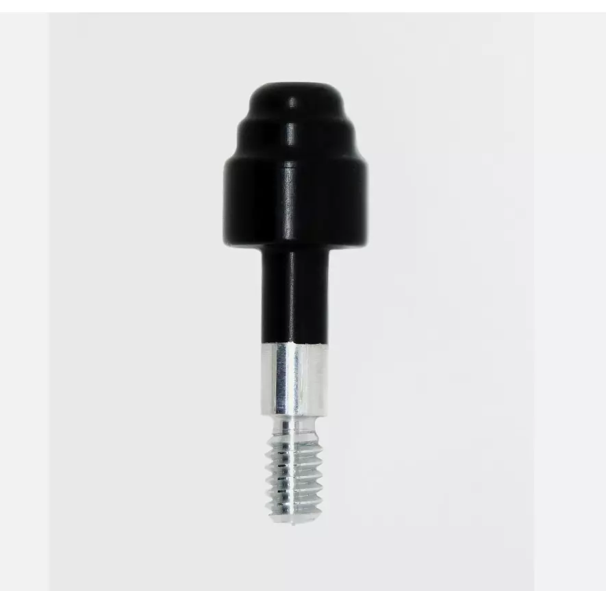 Antenna Delete Plug (Sealing) Cover Blanking Block Cap for Ford Mustang ...