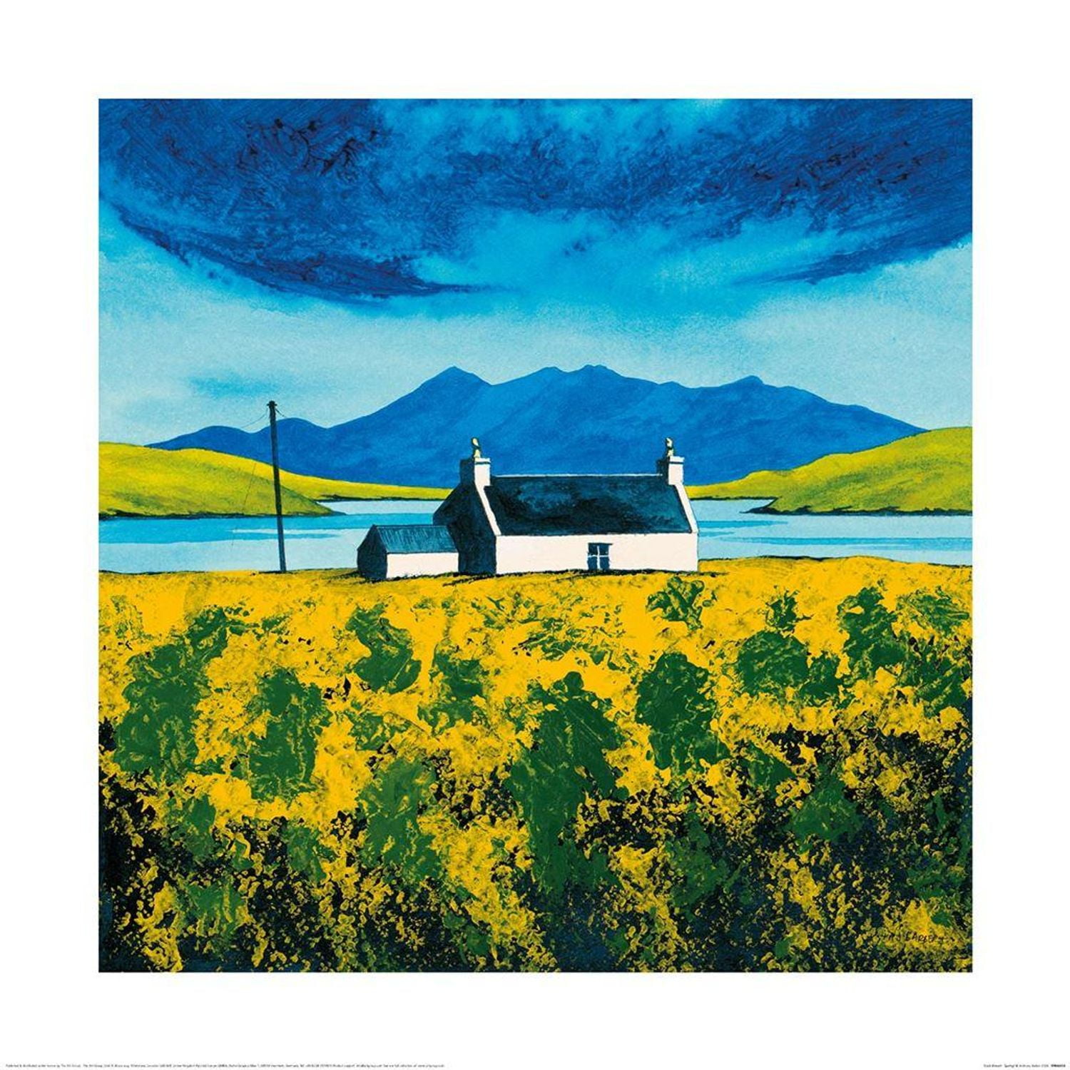 Anthony Barber Loch Erisort Spring Print - Walmart.com