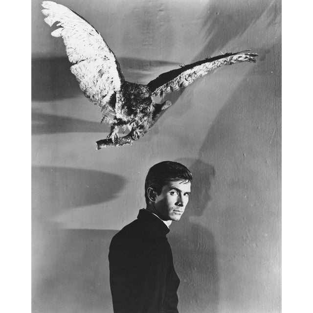 Psycho Hitchcock Anthony Perkins By Stuffed Bird 24x36 Classic ...