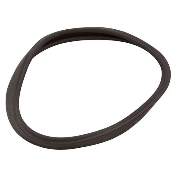 Anthony Pool Light Gasket - Generic Replacement, 8 3/8" OD, 3/4" Thick ...