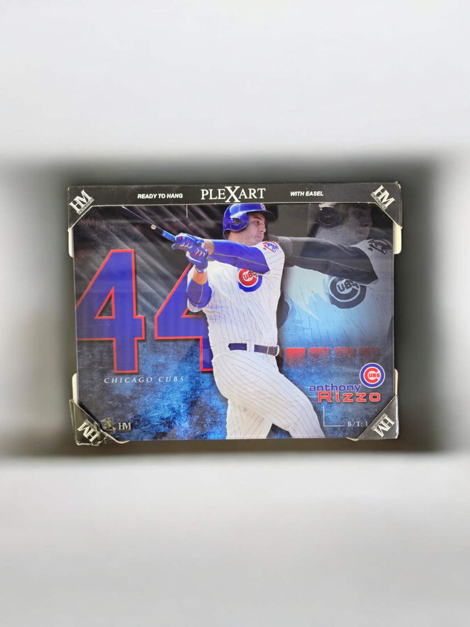 Anthony Rizzo Plex Art - Walmart.com