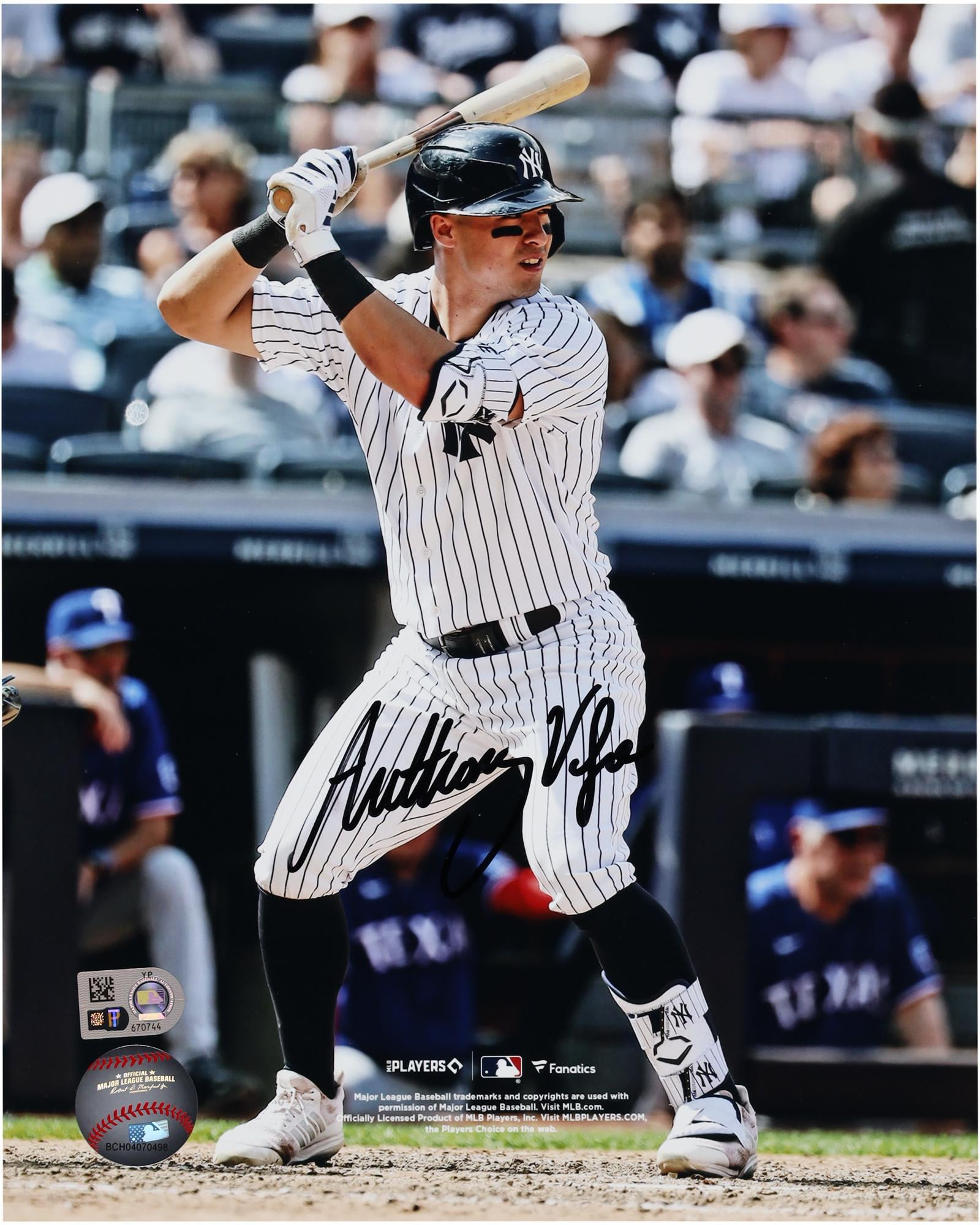 Anthony Volpe New York Yankees Autographed 8" x 10" Pinstripe Jersey ...