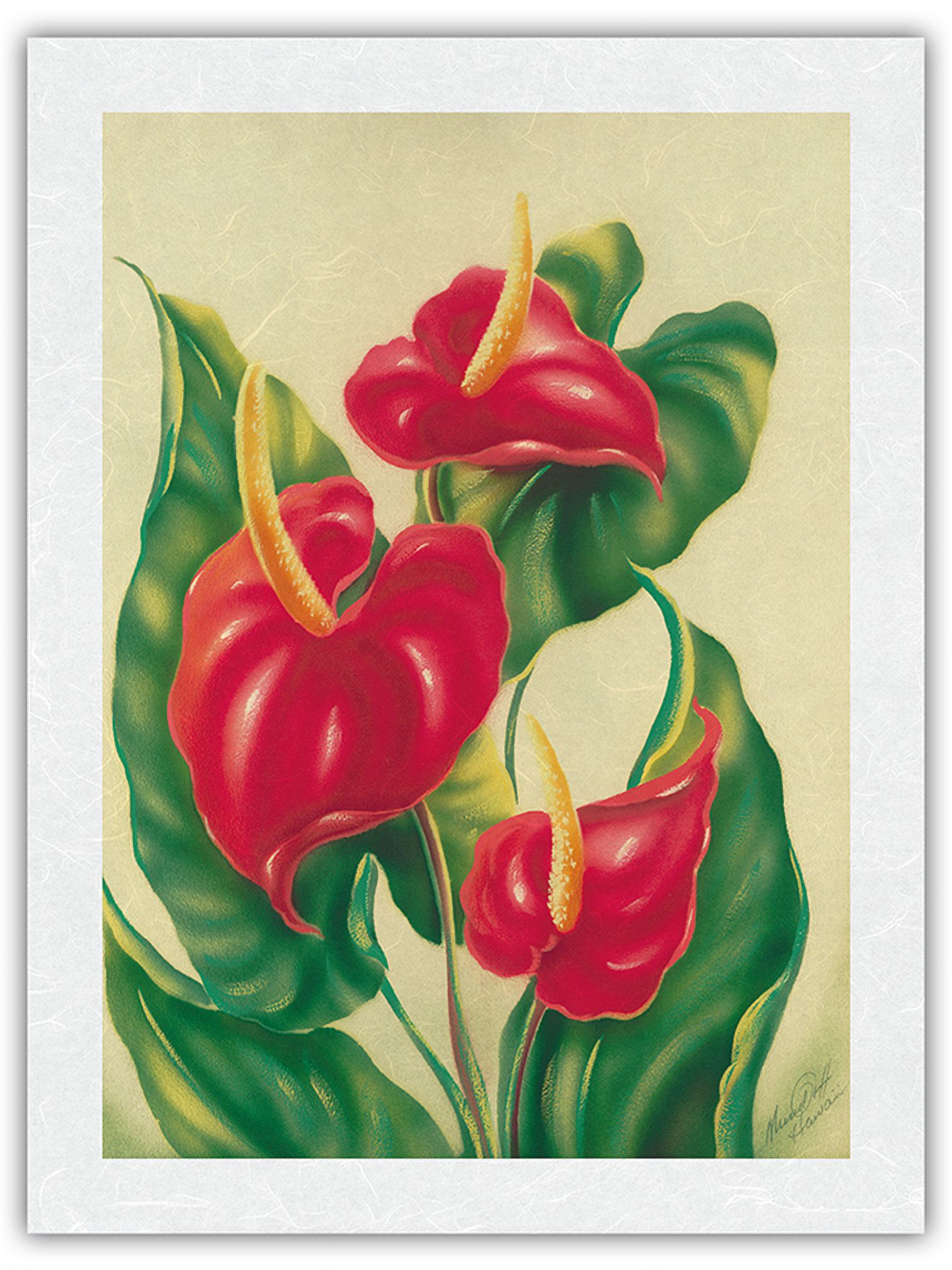 Anthurium II Hawai’i - Vintage Hawaiian Airbrush Art by Ted Mundorff c ...