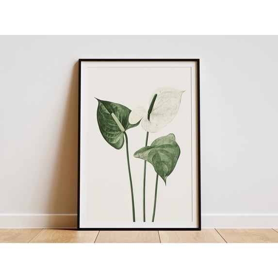 Anthurium Minimalist Plant Boho Wall Art Botanical Illustration ...