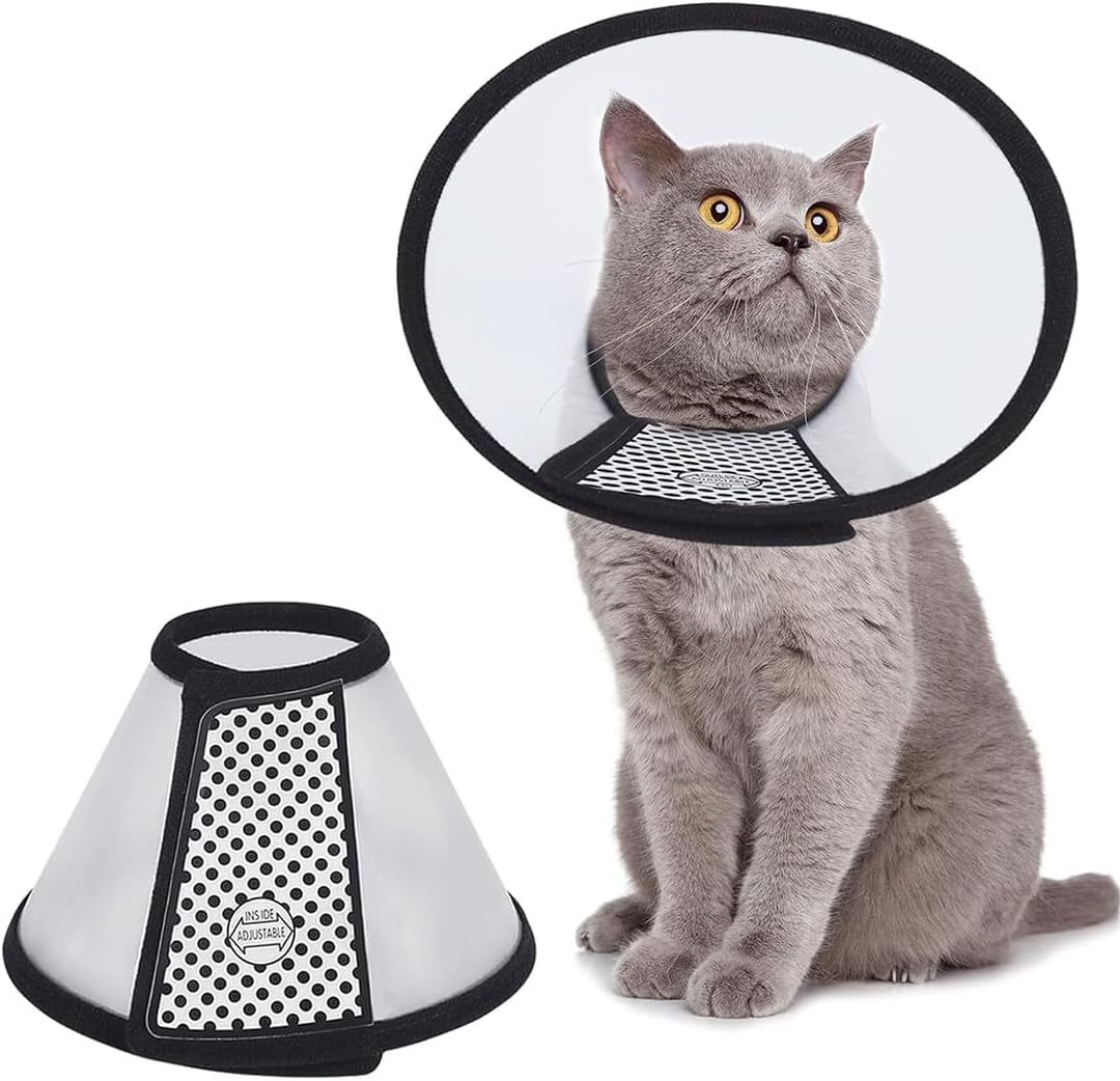Anti-Biting Licking Safety Neck Cover, Small Dogs, Elizabethan Plastic ...
