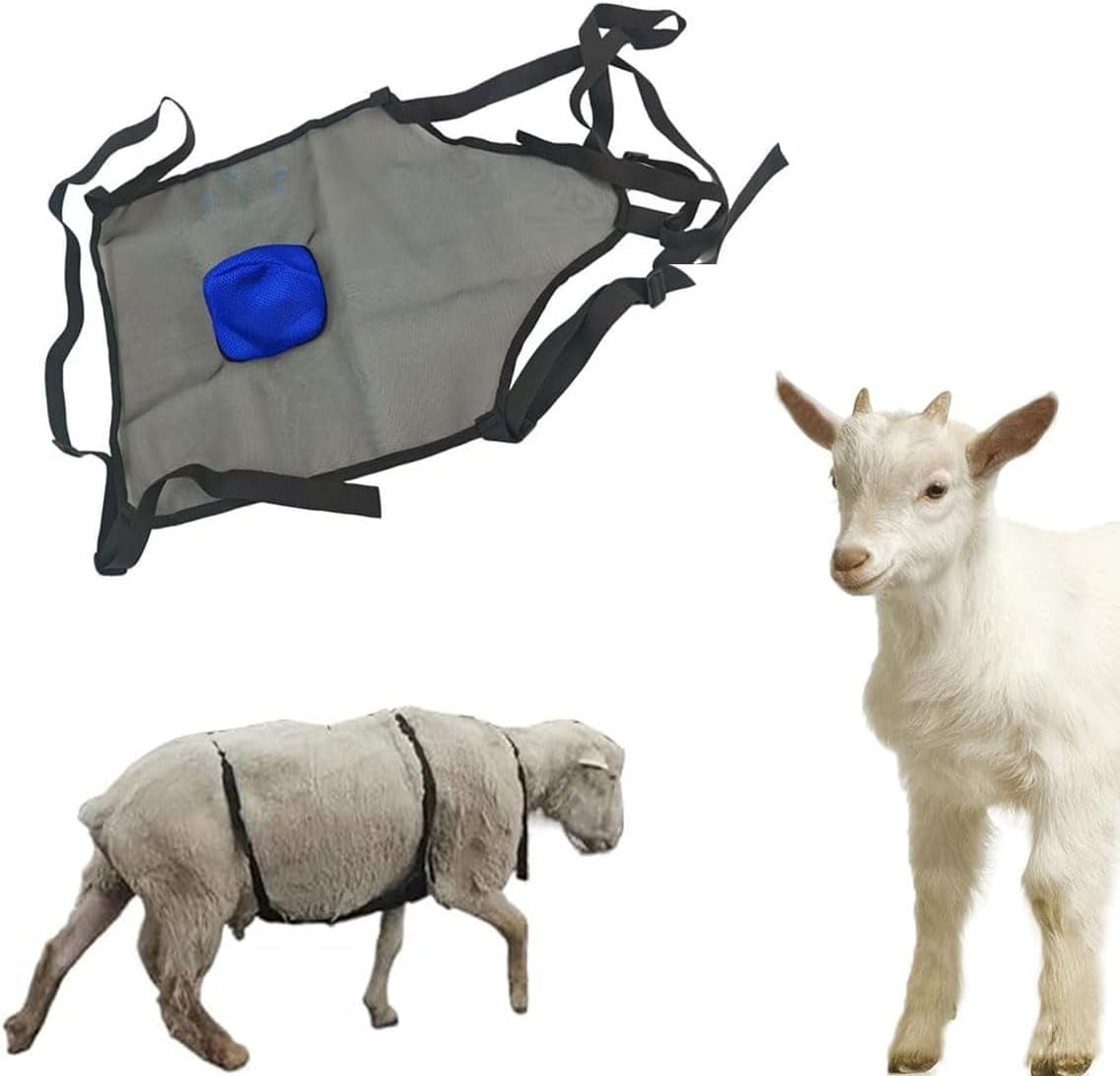 Anti Breeding Apron, Anti Mating Skirt Goat Apron, Anti-mating Sheep ...