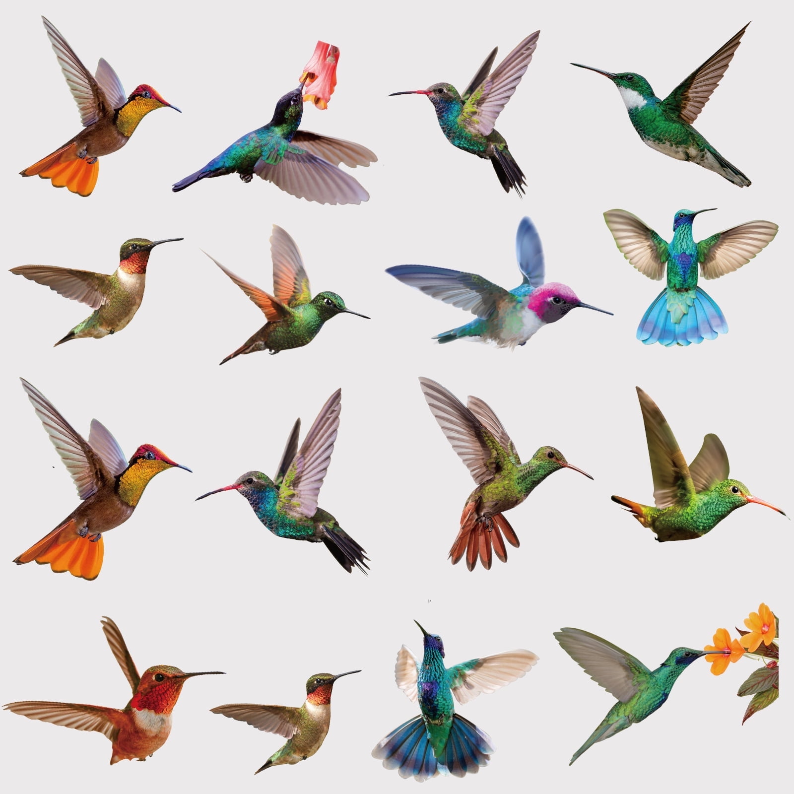 Anti-Collision Window Decals, UV-Resistant Hummingbird Clings for Bird ...