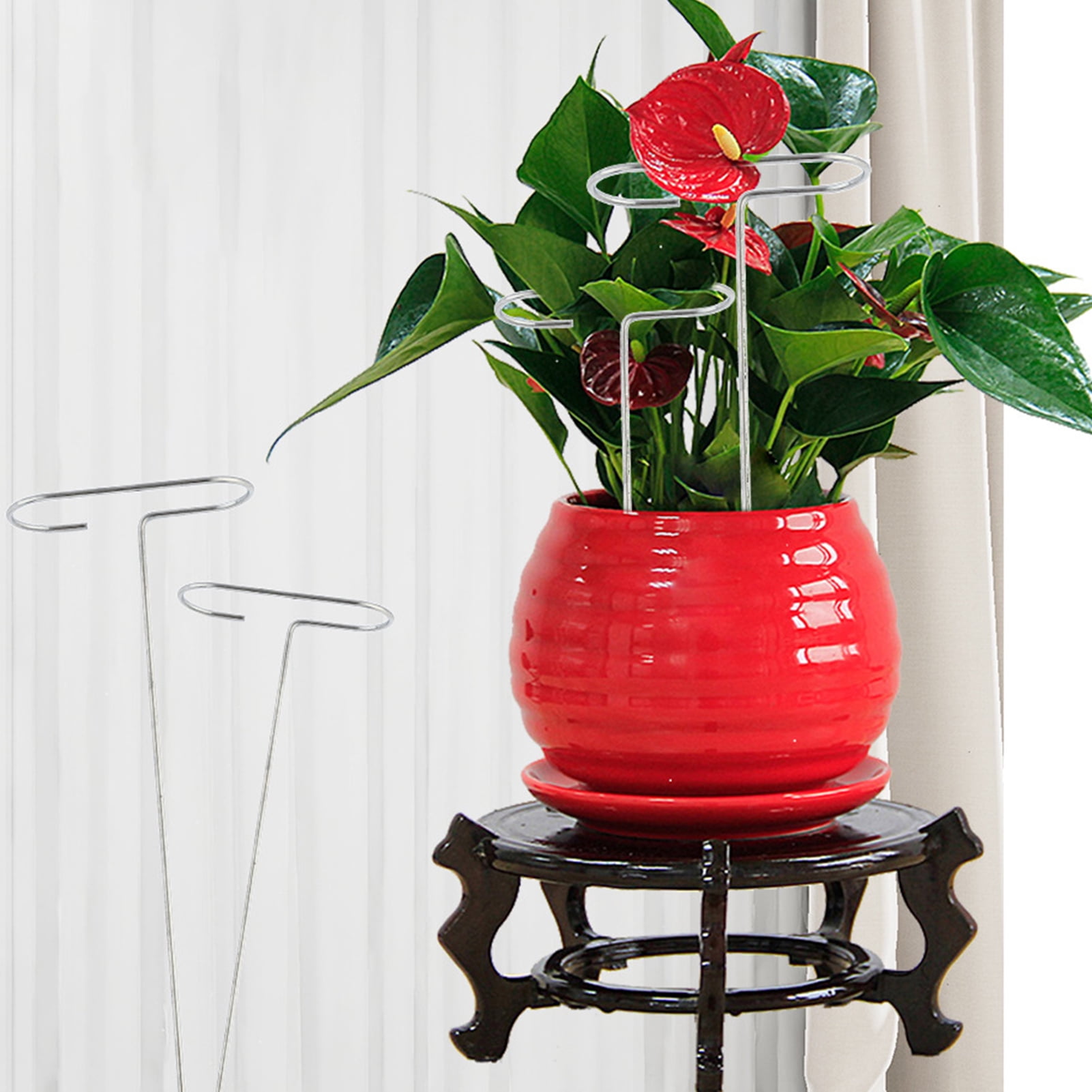 Anti-Corrosion Metal Plant Rack - Good Loading Capacity Vine Growth ...