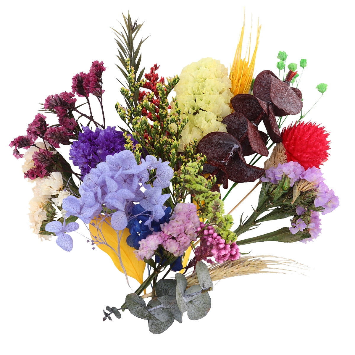 AntiGuyue 1 Box DIY Pressed Dried Flowers Practical Flower Materials ...