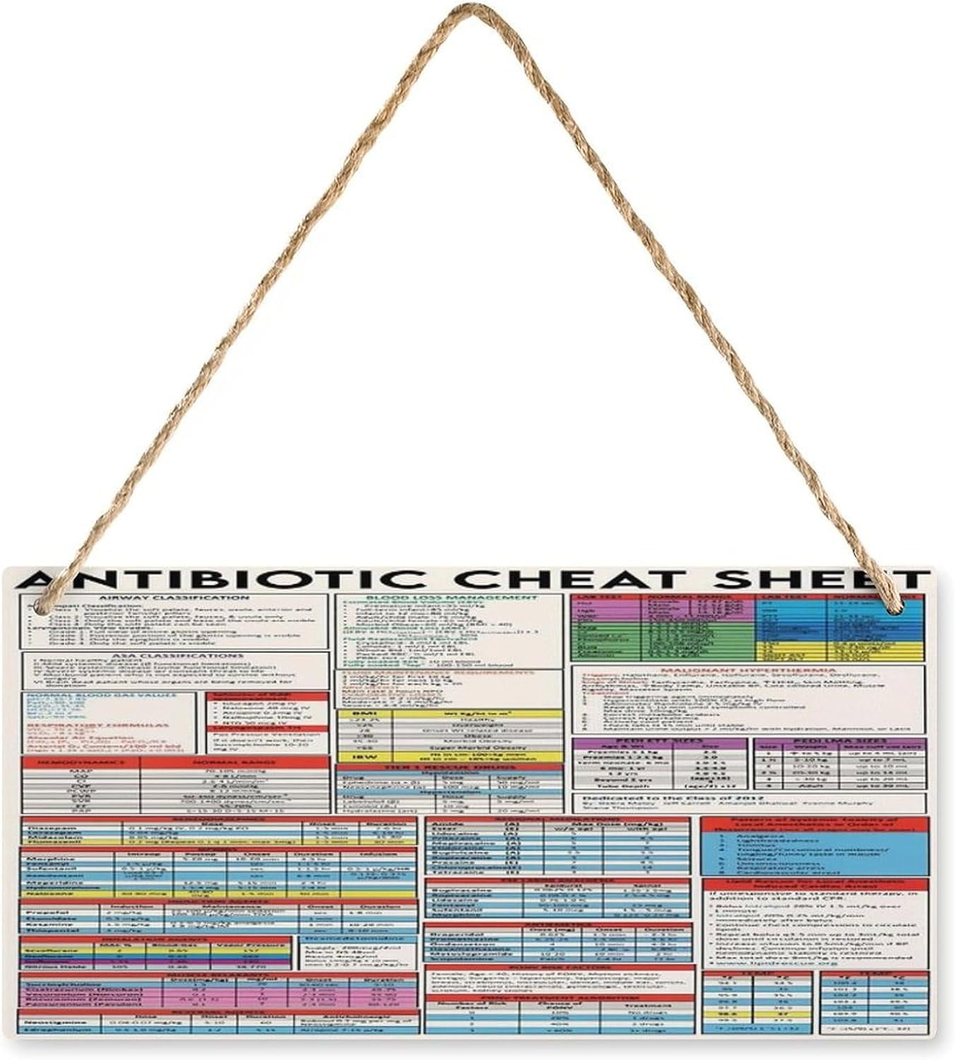 Antibiotic Cheat Sheet Wooden Signs Vintage Office Decor Doctor Science ...
