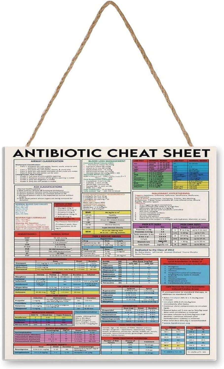 Antibiotic Cheat Sheet Wooden Signs Vintage Office Decor Doctor Science ...
