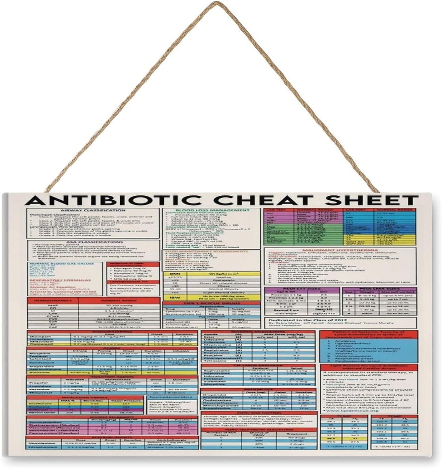 Antibiotic Cheat Sheet Wooden Signs Vintage Office Decor Doctor Science ...