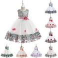 Antinious Girls Sleeveless Floral Lace Mesh Floral Performance Dresses ...