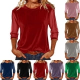 Antinious Ladies Solid Mesh Velvet Elegant Dressy Casual 3/4 Sleeve ...