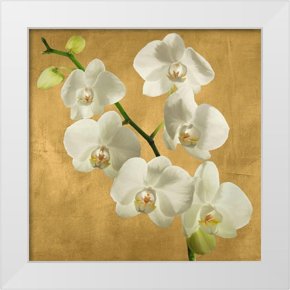 Antinori, Andrea 20x20 White Modern Wood Framed Museum Art Print Titled ...