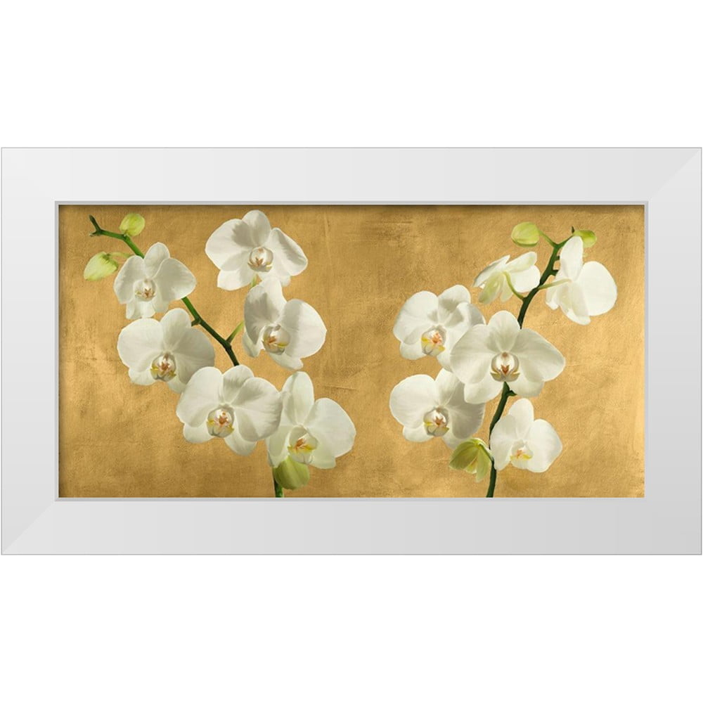 Antinori, Andrea 32x18 White Modern Wood Framed Museum Art Print Titled ...