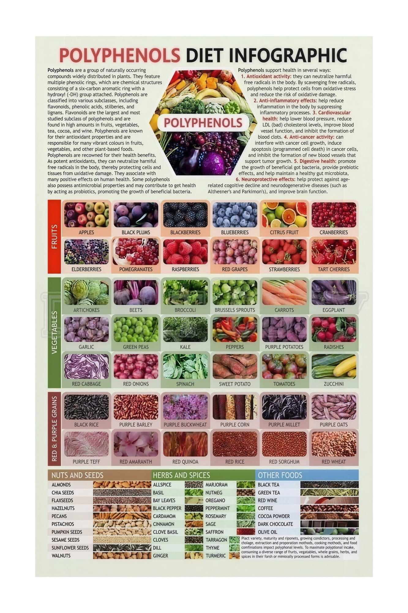 Antioxidant Rich Foods Chart Polyphenol Food List Poster Healthy Eating ...