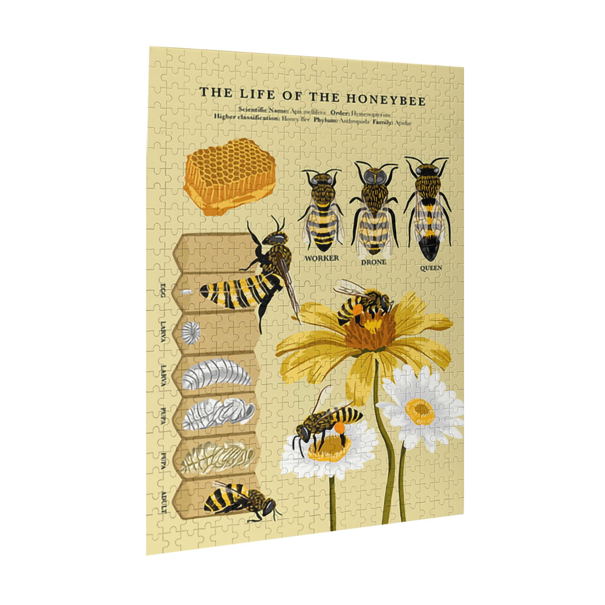 Antique Bees Prints Natural Poster Insects Vintage Biology Bee Wall Art ...