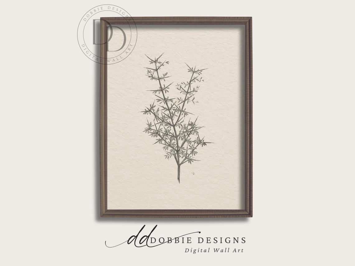 Antique Botanical Print Neutral Branch Drawing Cottagecore Farmhouse ...