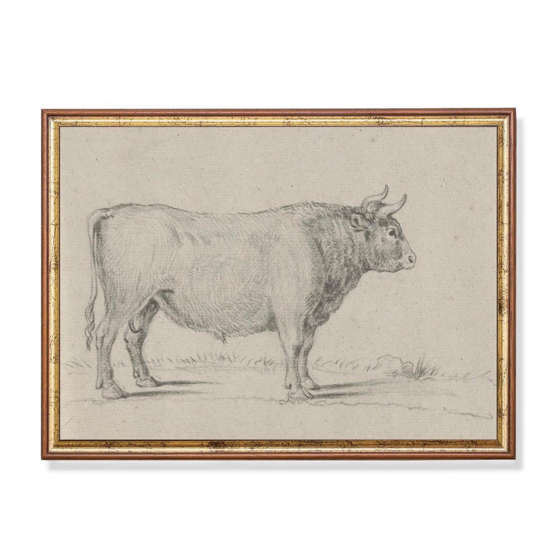 Antique Bull Sketch Poster Vintage Farm Animal Engraving Unframed Paper ...