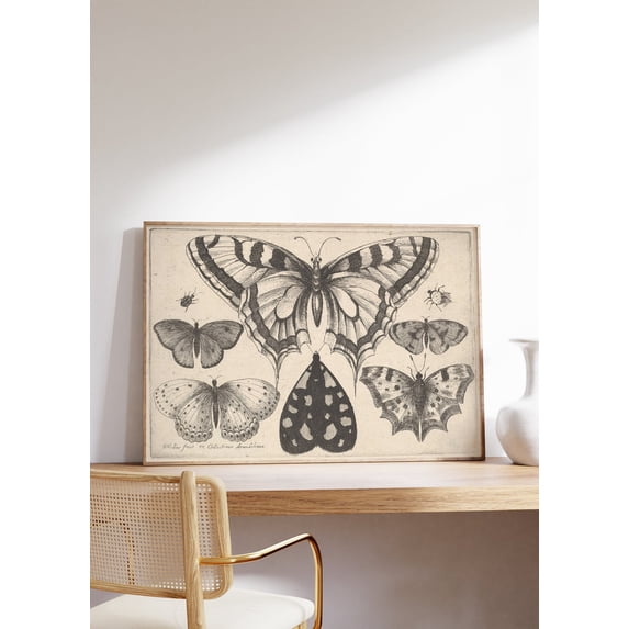 Antique Butterfly Illustration Unframed Paper Print - Walmart.com