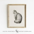 Antique Cat Sketch Feline Wall Art Farmhouse Cat Drawing Vintage Cat Print Art Cat Vintage Cat ...