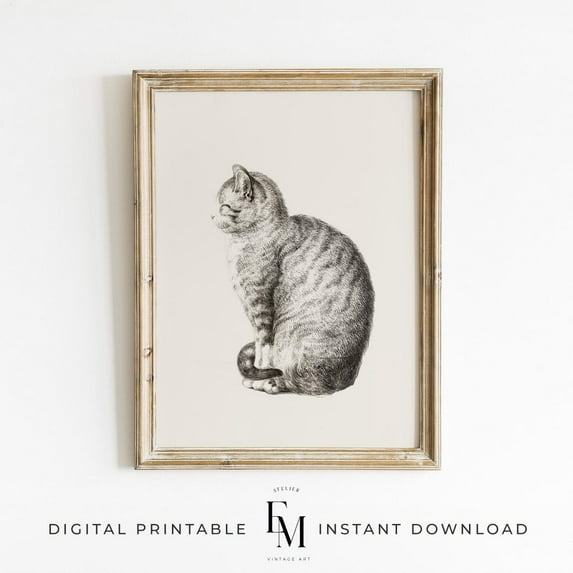 Antique Cat Sketch Feline Wall Art Farmhouse Cat Drawing Vintage Cat Print Art Cat Vintage Cat ...