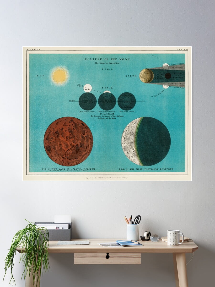 Antique Celestial Moon Phase Astronomy Chart Lithograph Eclipse Of The ...
