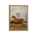 Antique Chestnut Stallion Poster Vintage Equestrian Farmhouse Wall Art ...