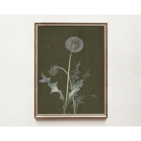 Antique Dark Olive Green Dandelion Painting Earth Toned Art Botanical ...