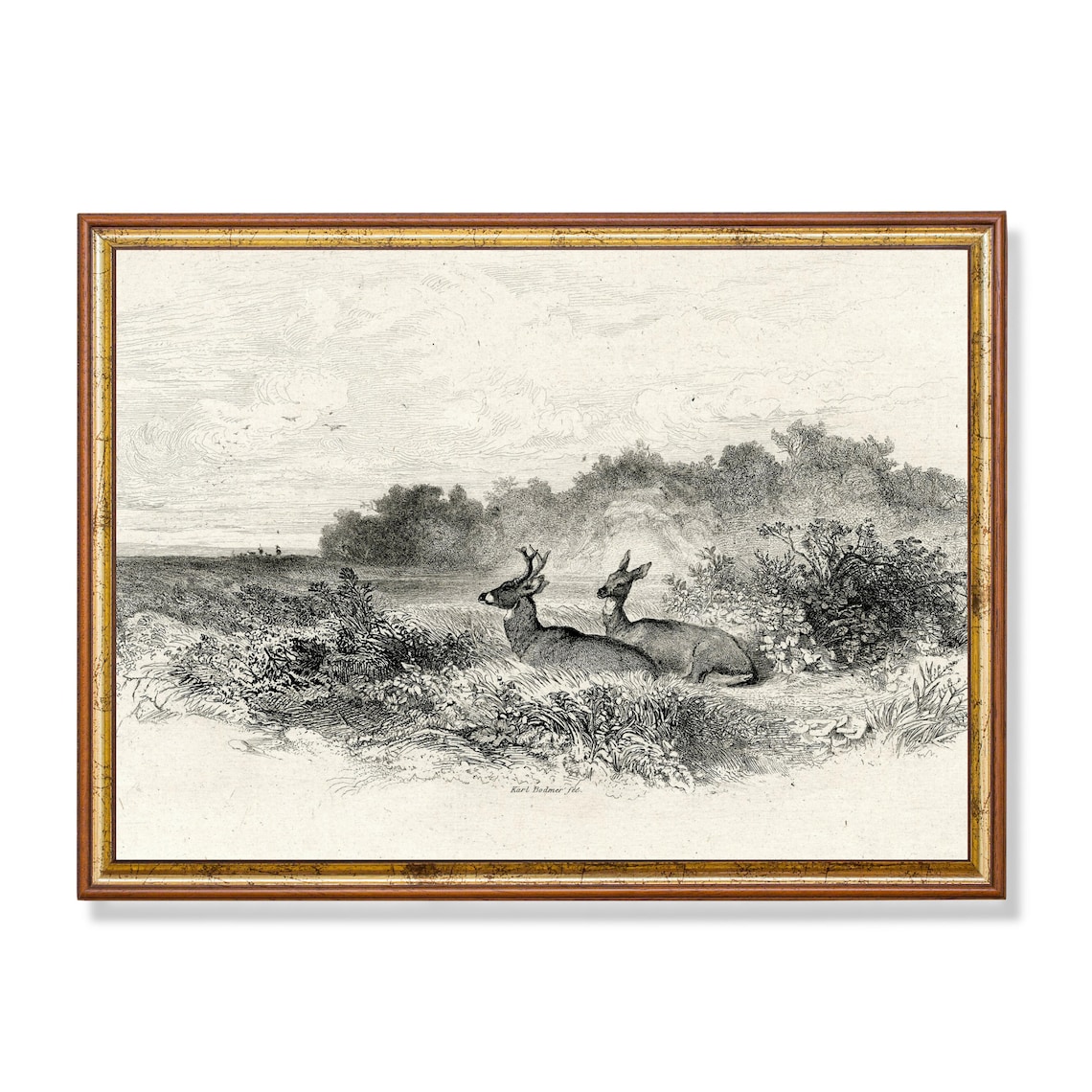 Antique Deer Sketch Print Poster Neutral Farmhouse Animal Art, Size ...