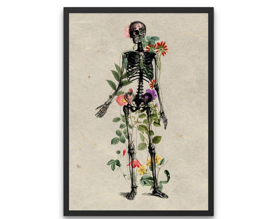 Antique Floral Human Anatomy Print - Flowers Through Skeleton, Floral ...