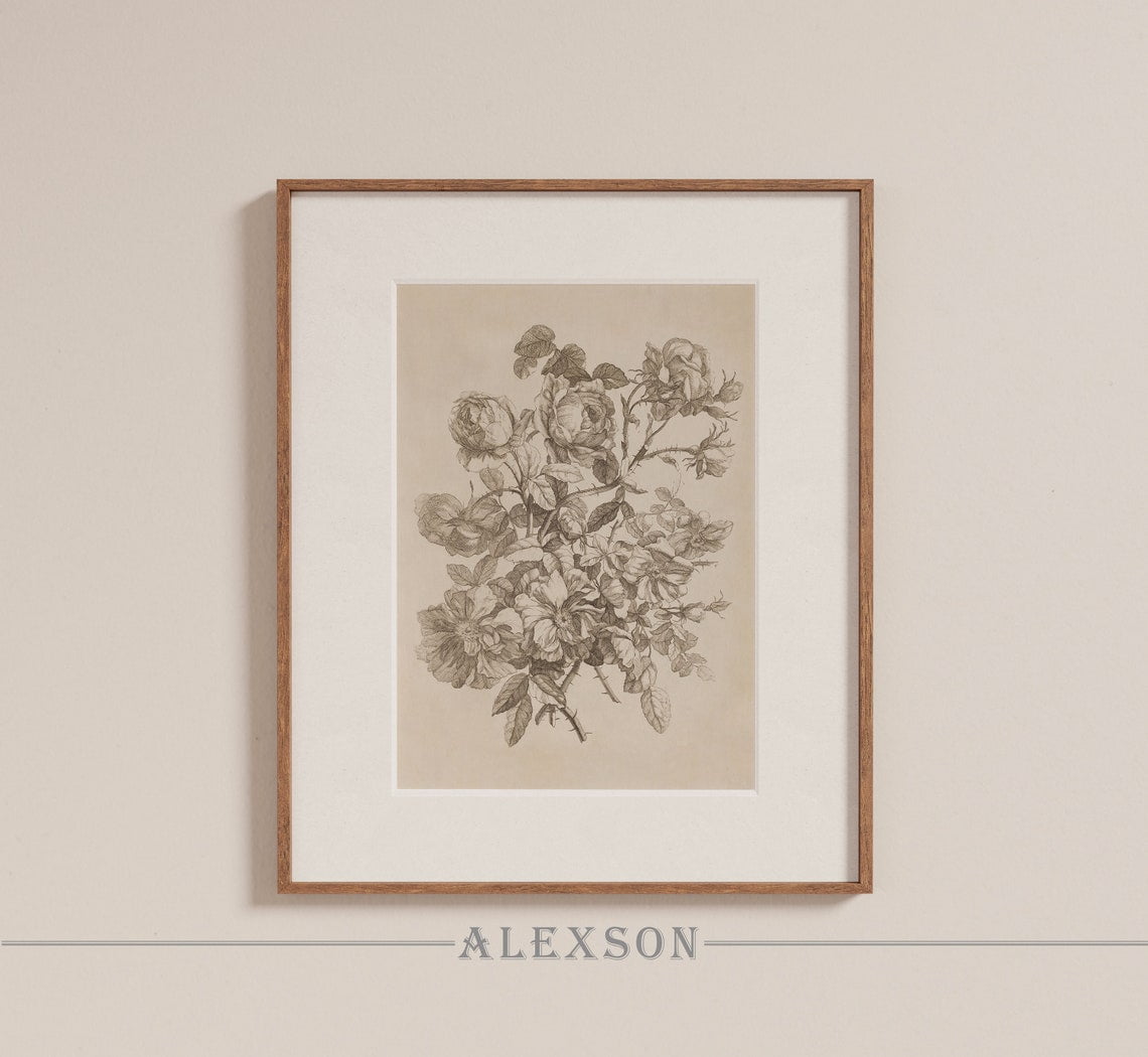 Antique Flower Bouquet Print, Botanical Drawing Wall Art, Unframed ...