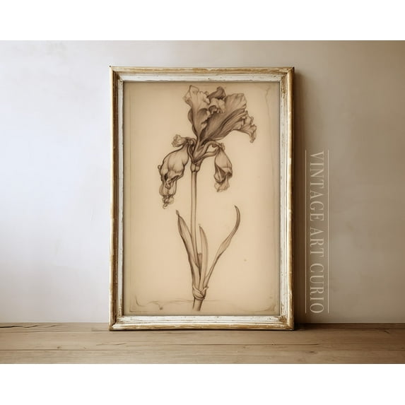 Antique Flower Wall Art, Rustic Country Farmhouse Decor, Soft Light ...