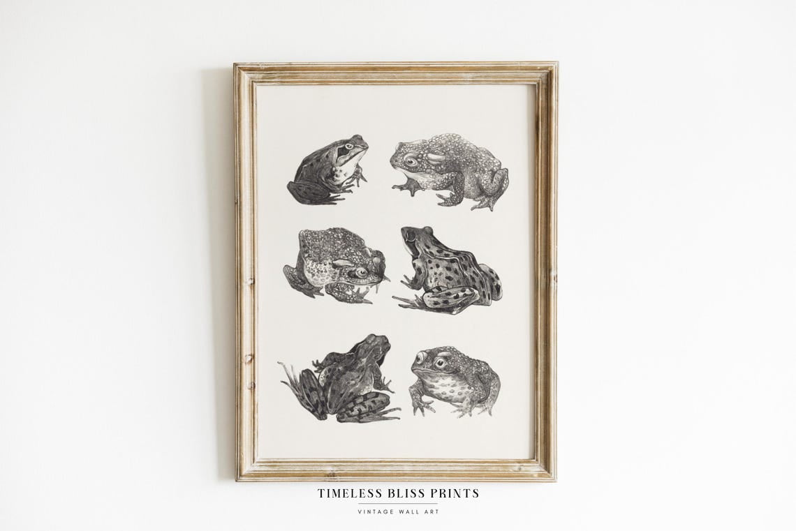 Antique Frog Drawing Print Printable Art Vintage Frog Illustration Toad ...