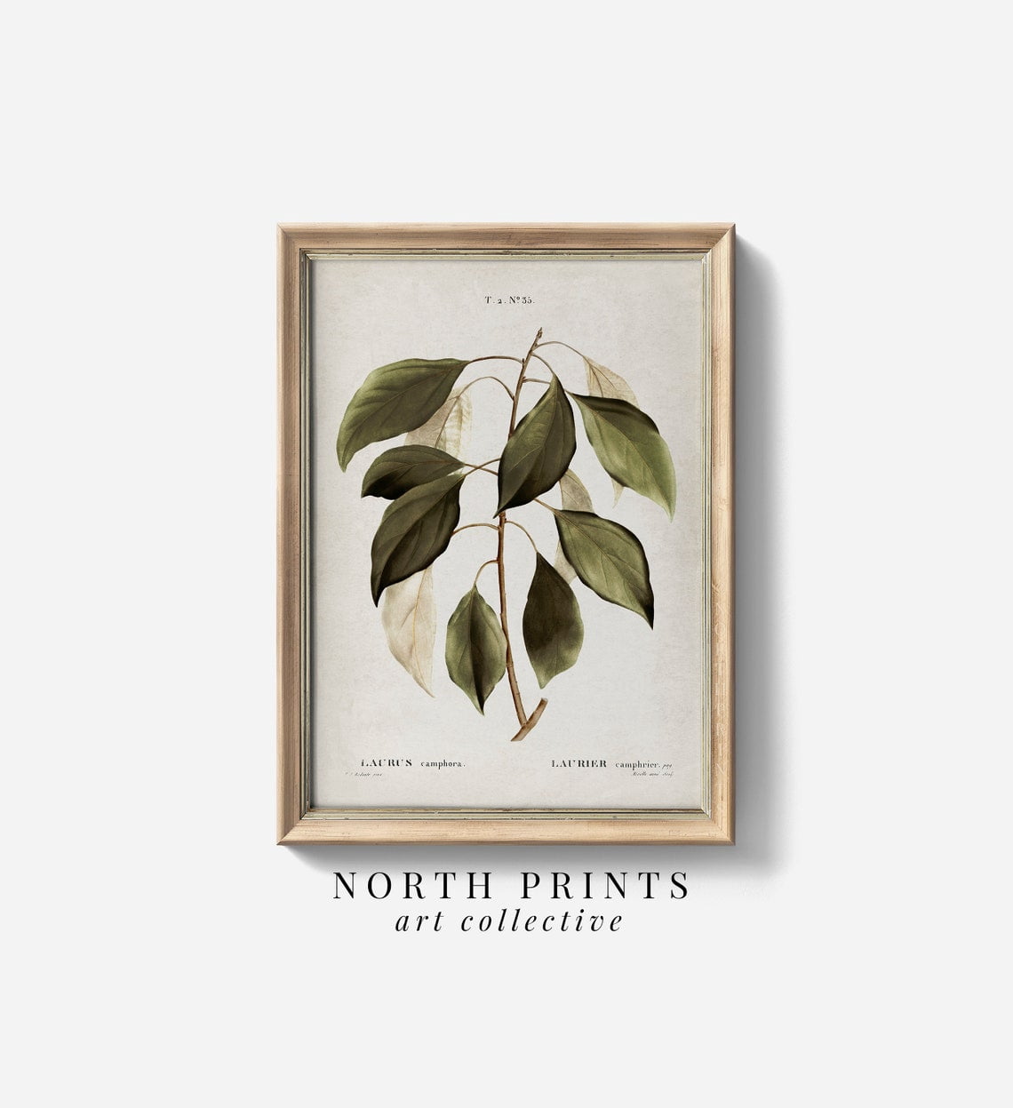 Antique Green Botanical Farmhouse Poster, Unframed Size 16x24 - Walmart.com
