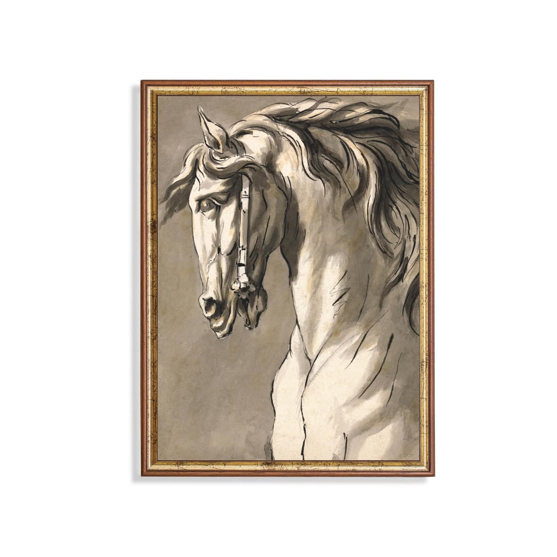 Antique Horse Sketch Print Poster 18th Century Equestrian Drawing, Size ...