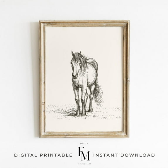 Antique Horse Sketch Western Wall Art Farmhouse Horse Drawing Vintage ...