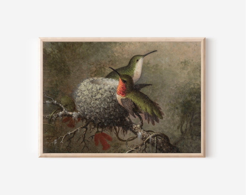 Antique Hummingbird Painting Downloadable Prints Print Yourself Digital ...
