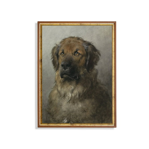 Antique Leonberger Dog Portrait Rustic Farmhouse Wall Art Home Decor ...
