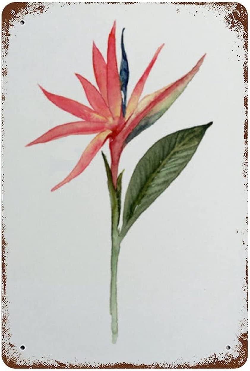 Antique Metal Tin Sign Bird of Paradise Plant Bird of Paradise Decor ...