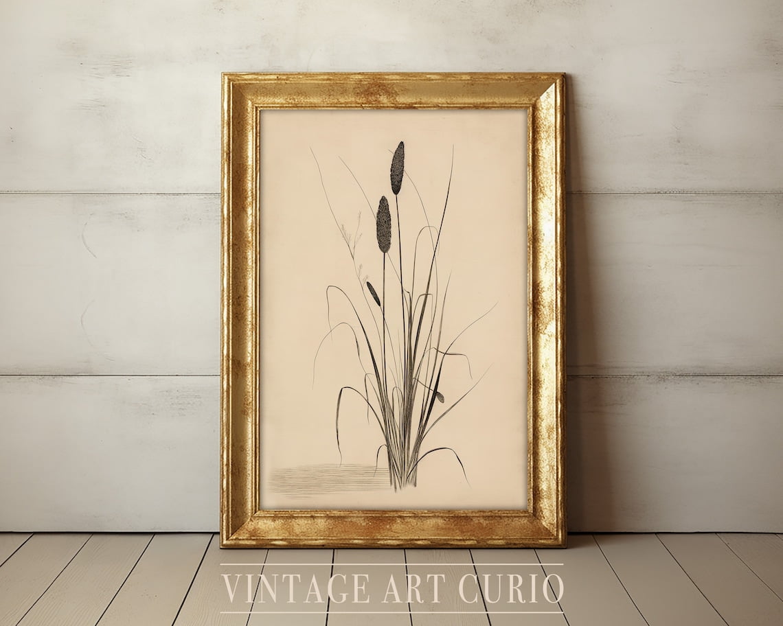 Antique Neutral Farmhouse Wall Print Decor, Reeds Sketch, Rustic ...