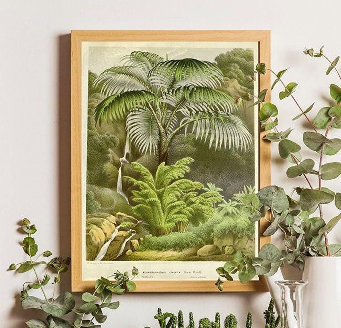 Antique Palm Tree Botanical Poster, Victorian Jungle Art, Stretched ...
