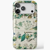Antique Plant Chart Botanical Art iPhone Case 17 to 11 Pro Max ...
