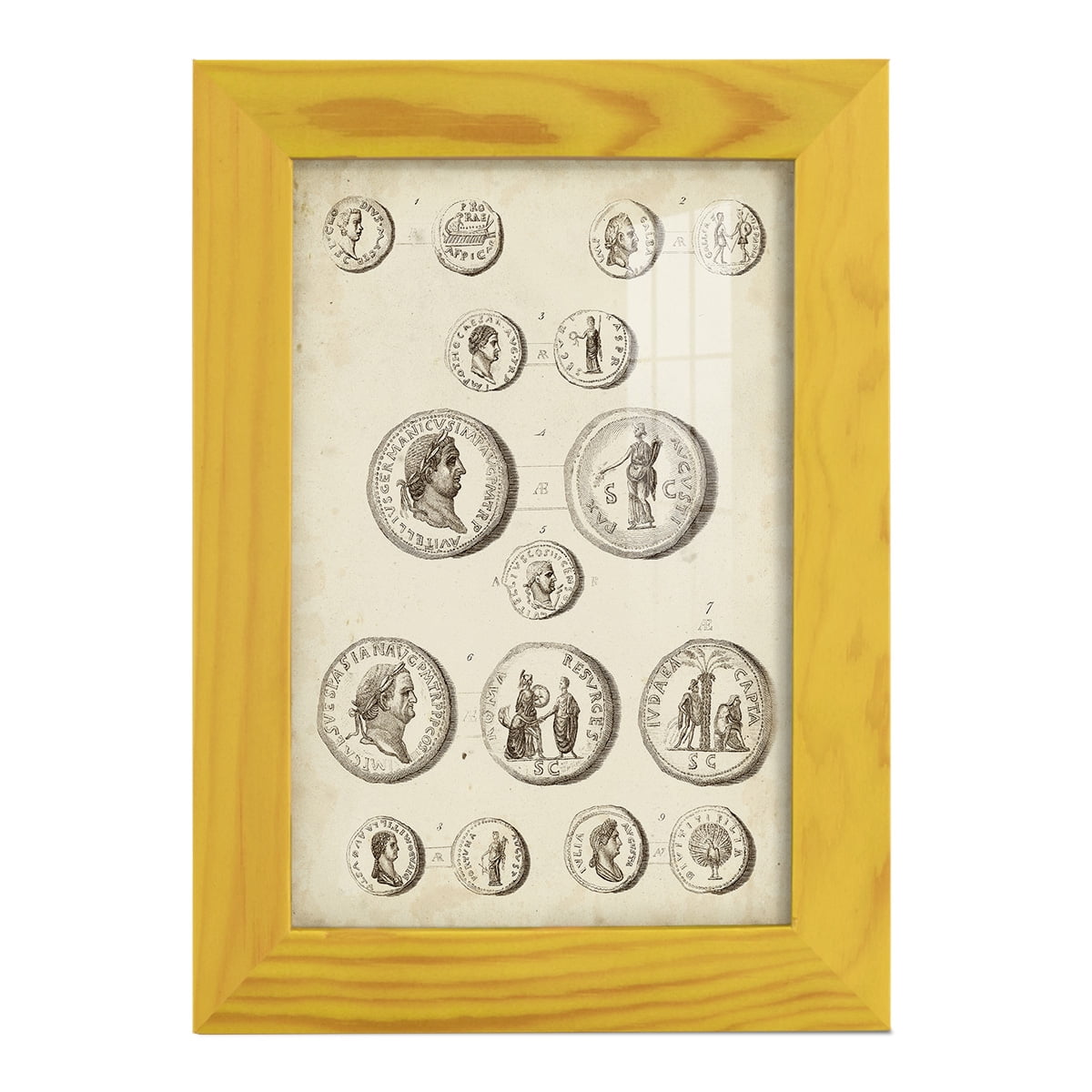 Antique Roman Coins III -Framed Print w/glass-Sunflower Yellow ...