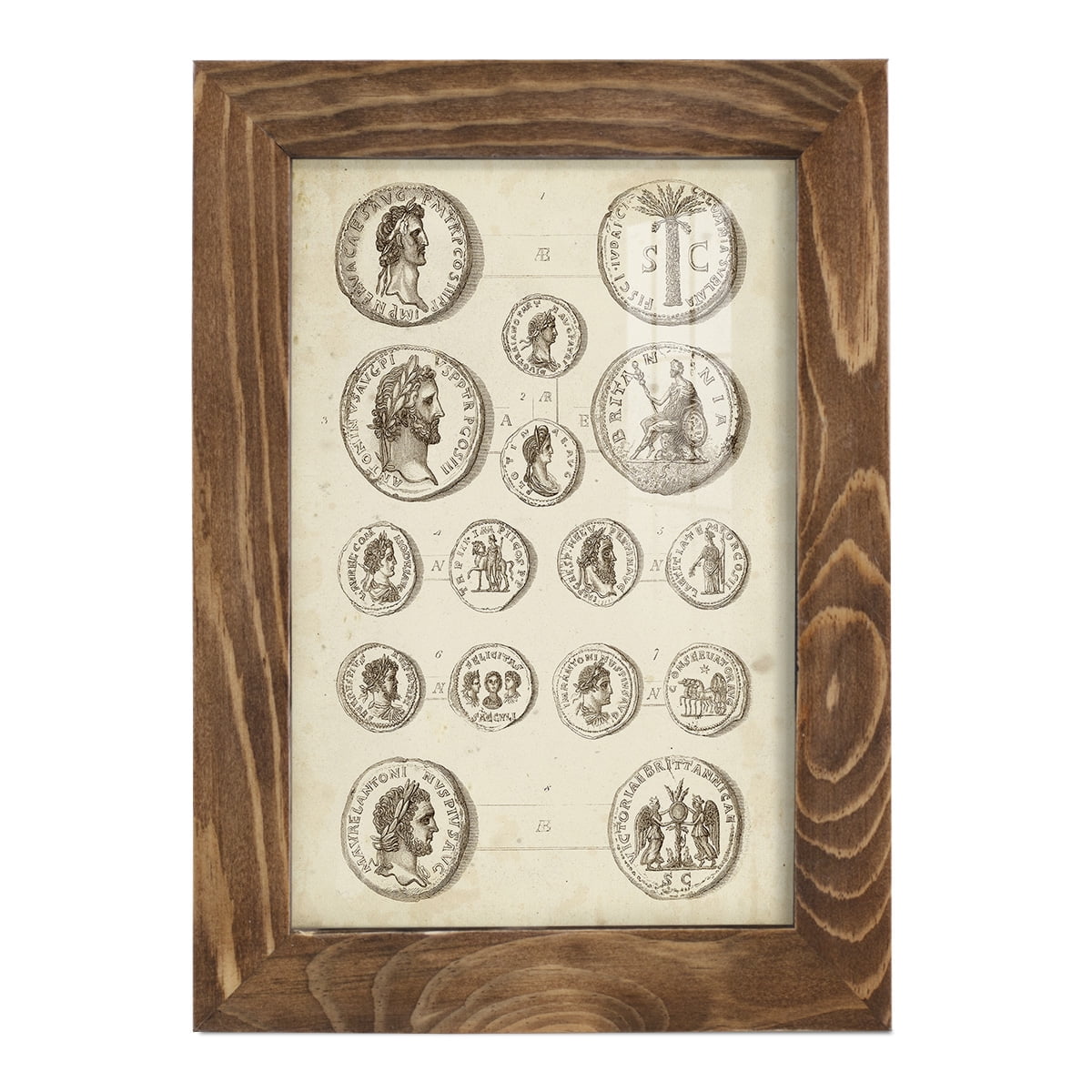 Antique Roman Coins IV -Framed Print w/glass-Walnut - Walmart.com