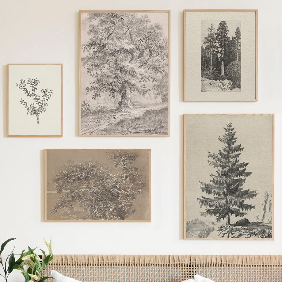 Antique Rustic Pine Oak Tree Sketch Drawing Neutral Botanical Landscape ...