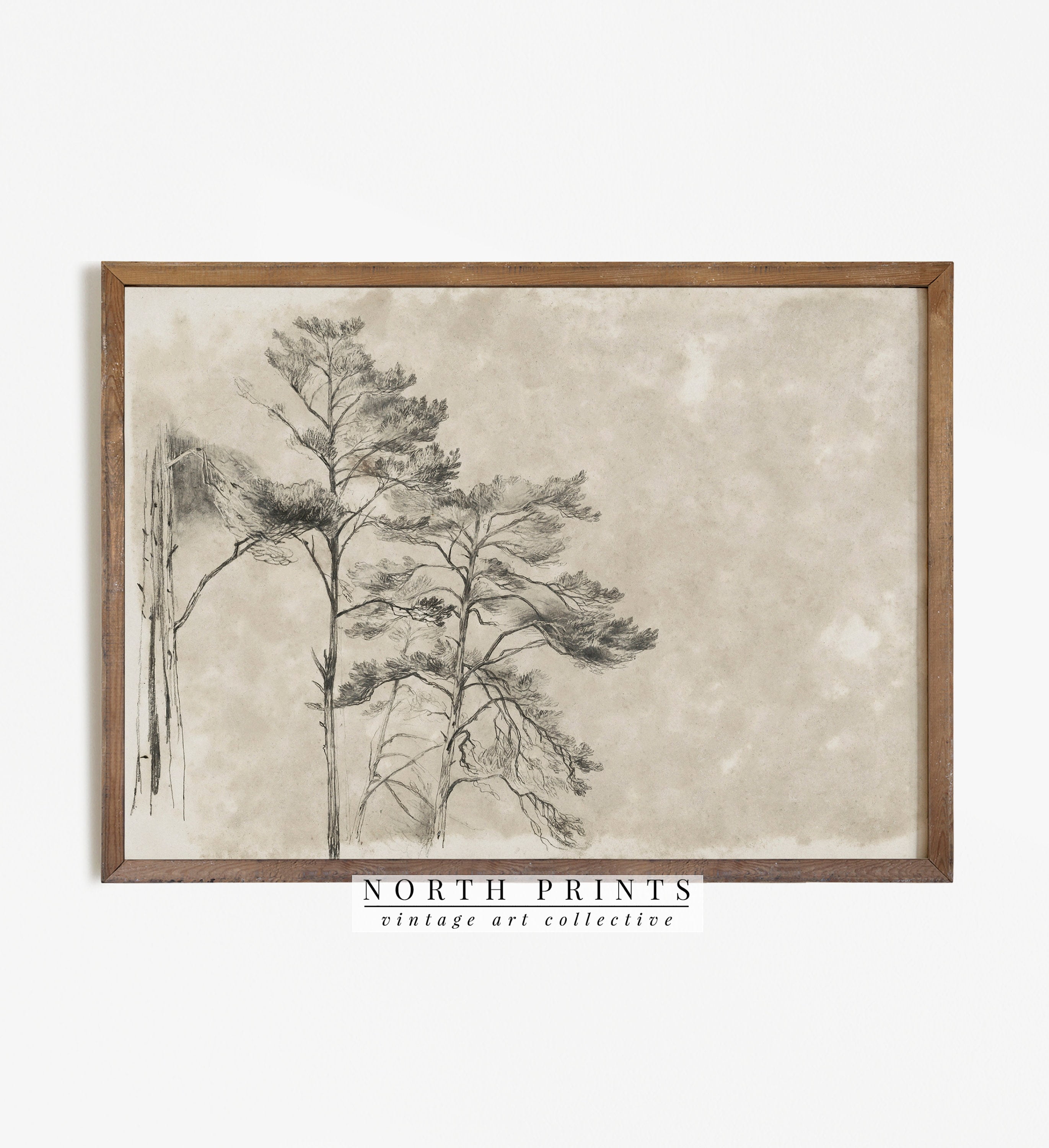 Antique Rustic Tree Sketch | Neutral Vintage Art | North Prints | 3-220 ...