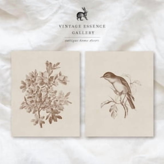 Antique Set Of 2 Prints, Vintage French Country Bird Print, Neutral ...