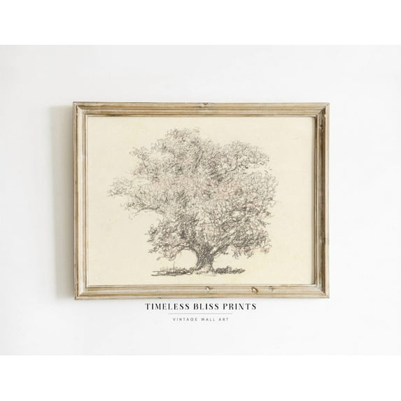 Antique Simple Tree Sketch Printable Vintage Tree Drawing Pencil Sketch ...